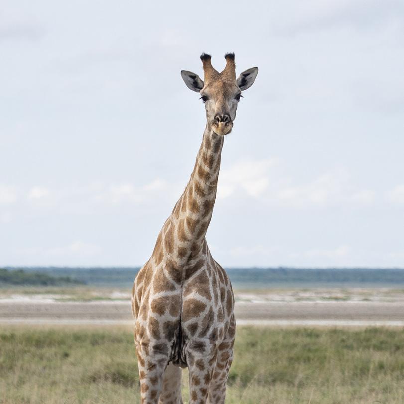 African mythology archivos - Page 2 of 4 - World Mythos